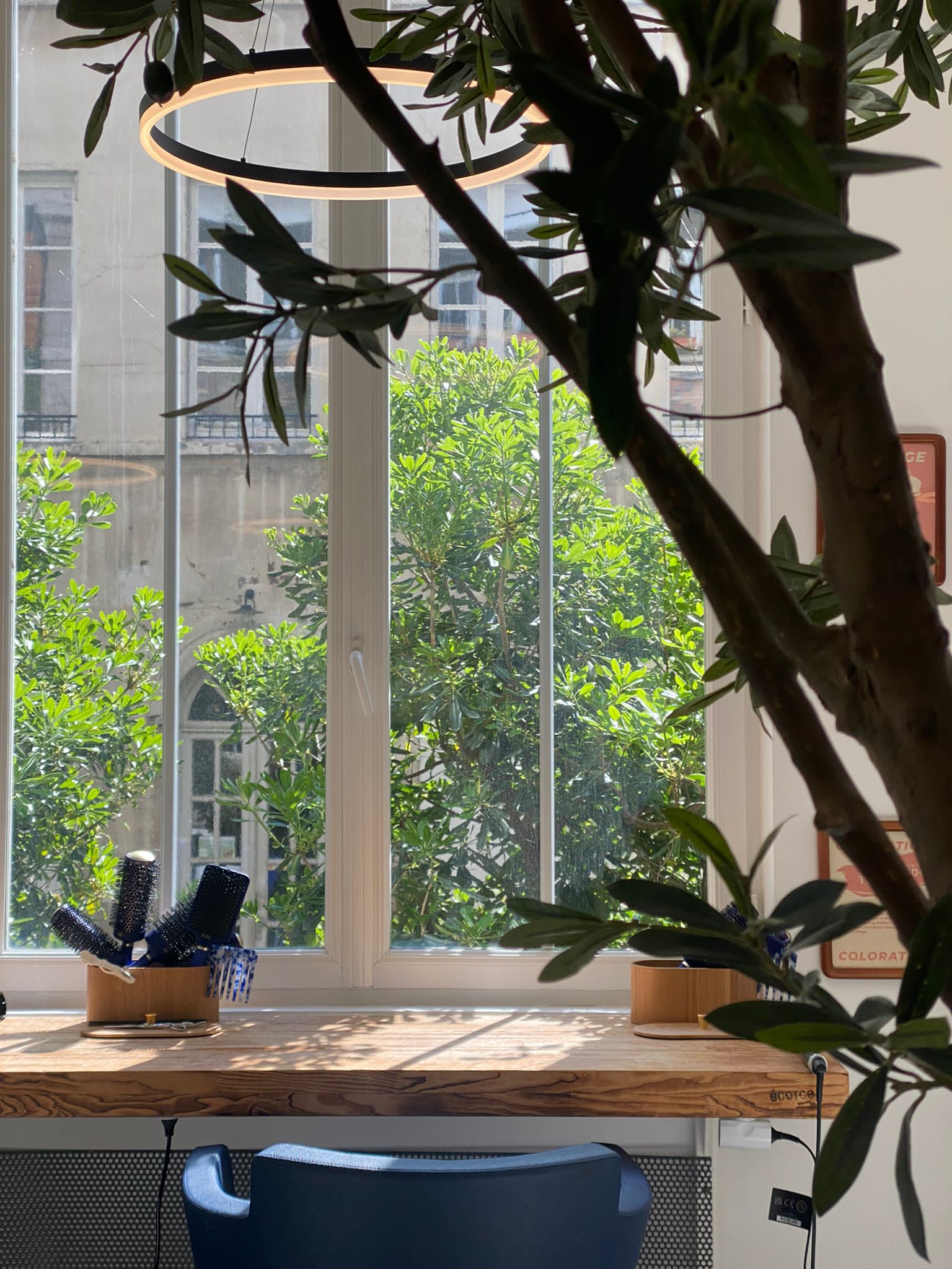 Expérience CARLI – CARLI.paris